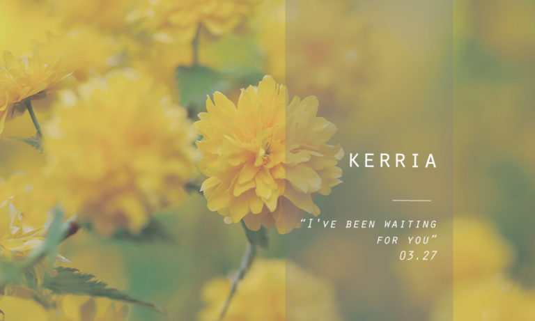 山吹の花言葉｜花の意味と対応する誕生日・誕生花・あなたの性格 | Timeless Edition