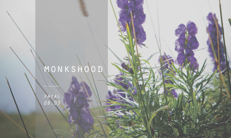 トリカブトの花言葉｜花の意味と対応する誕生日・誕生花・あなたの性格 | Timeless Edition